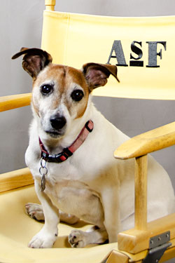 staff-asf-mascot-hubie | A Street Frames